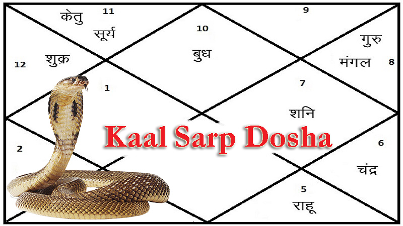 Kaal Sarp Dosh Nivaran Puja: the way to have it away and Its Advantages