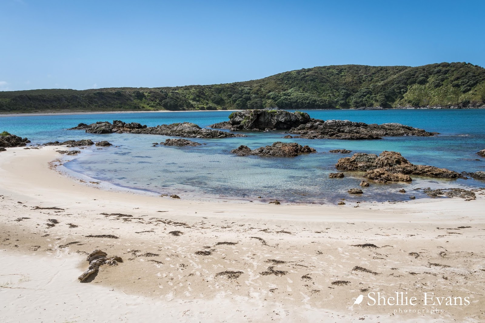 Two Go Tiki Touring: Magnificent Maitai Bay- Karikari Peninsula