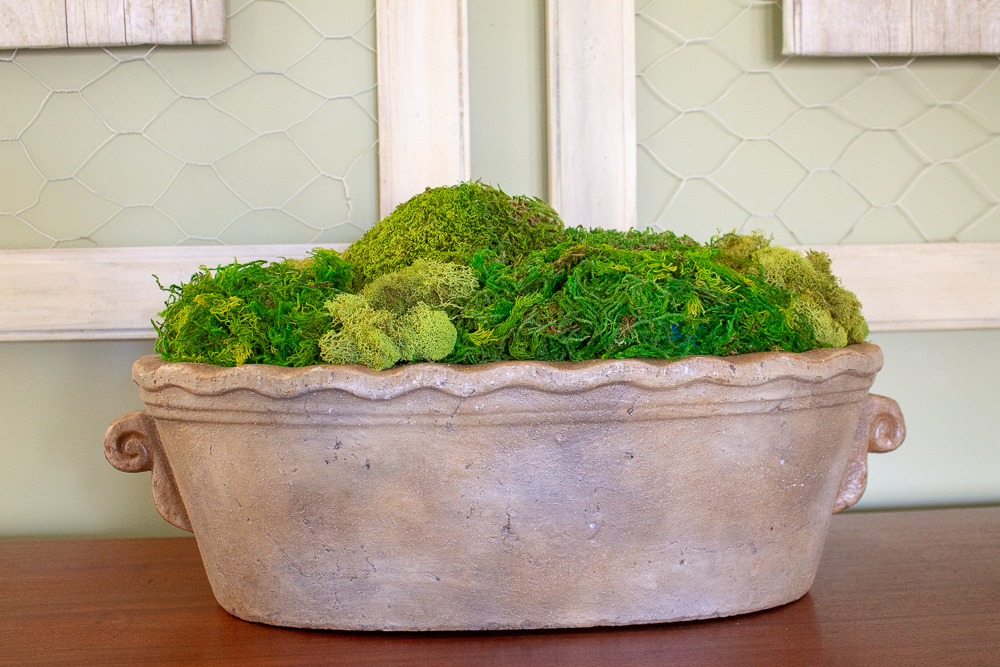 Using Moss In Home Decorating | Miss Kopy Kat