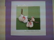 JaponicaJan: CUTTLEBUG CARD IDEAS