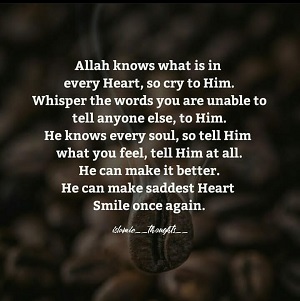 Best Islamic Thoughts And Quotes Images Of 2020 || Best New And Latest ...