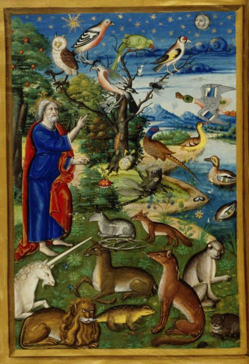 The relationship between saints and animals - The Catalog of Good Deeds