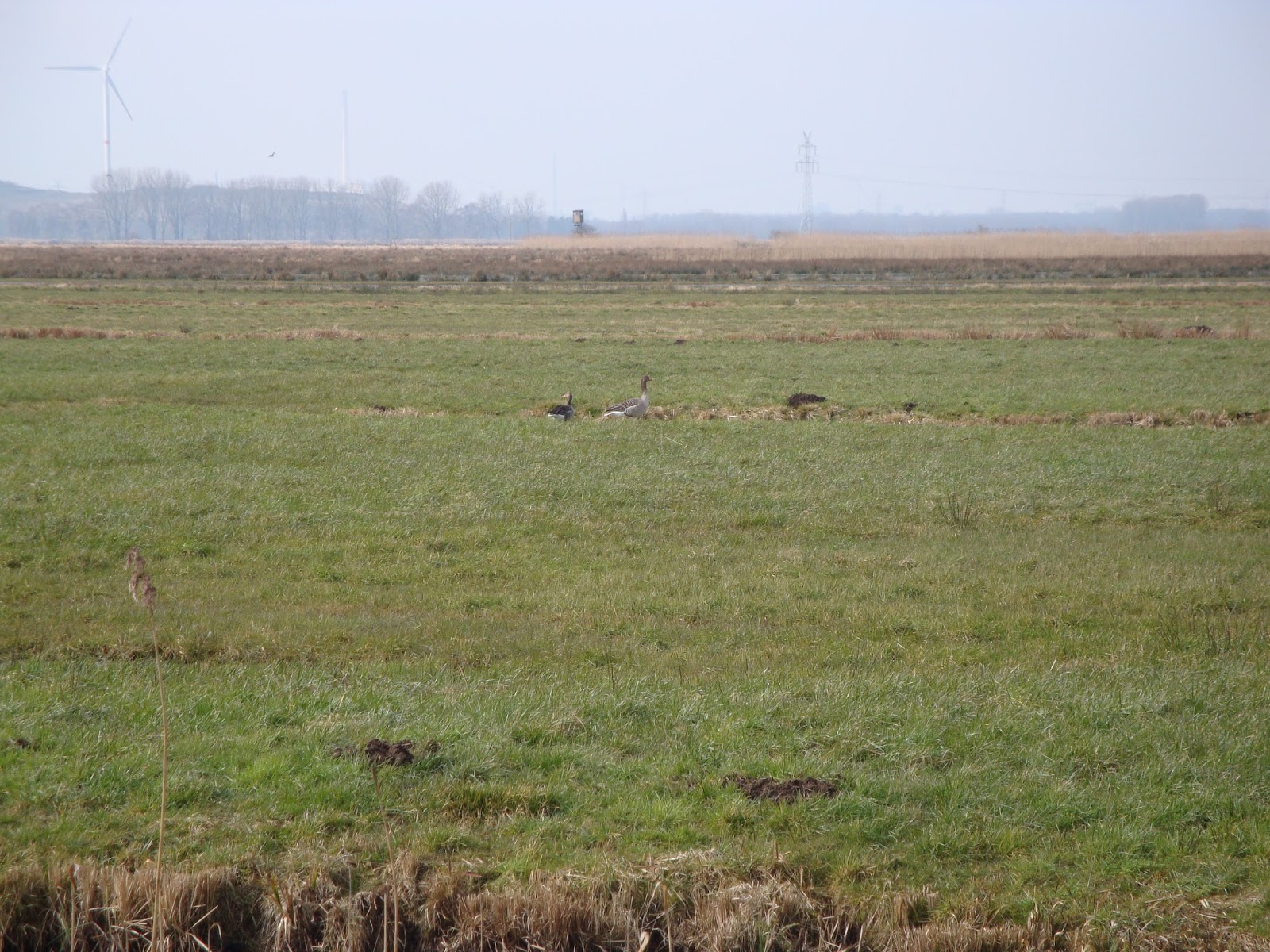 Via Baltica: Holler Land