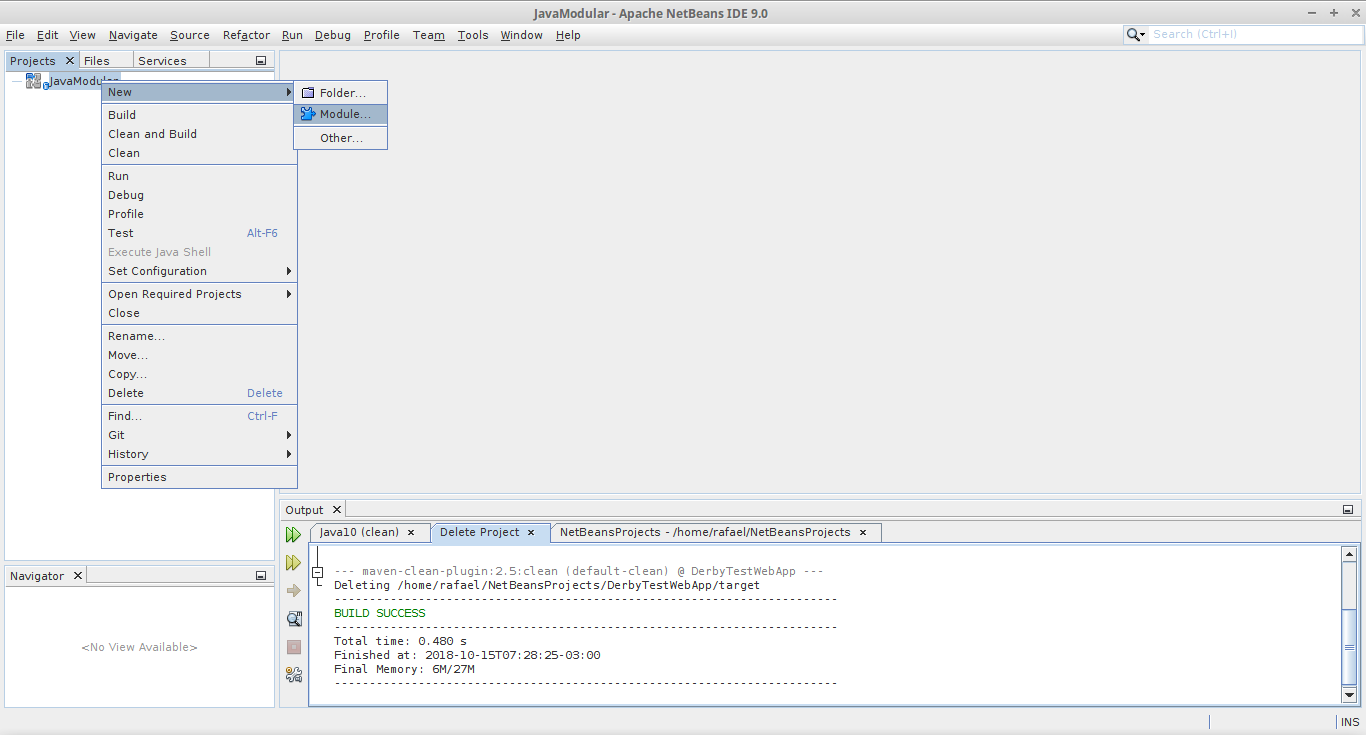 Finalexception Modular Projects No Netbeans 90