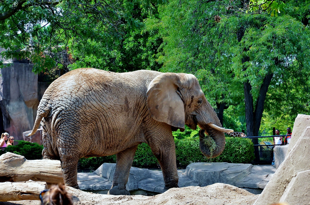 Dworianyn Love Nest: Milwaukee Zoo