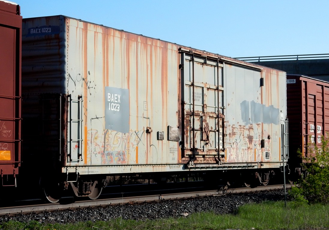 Trackside Treasure: Champion Boxcars