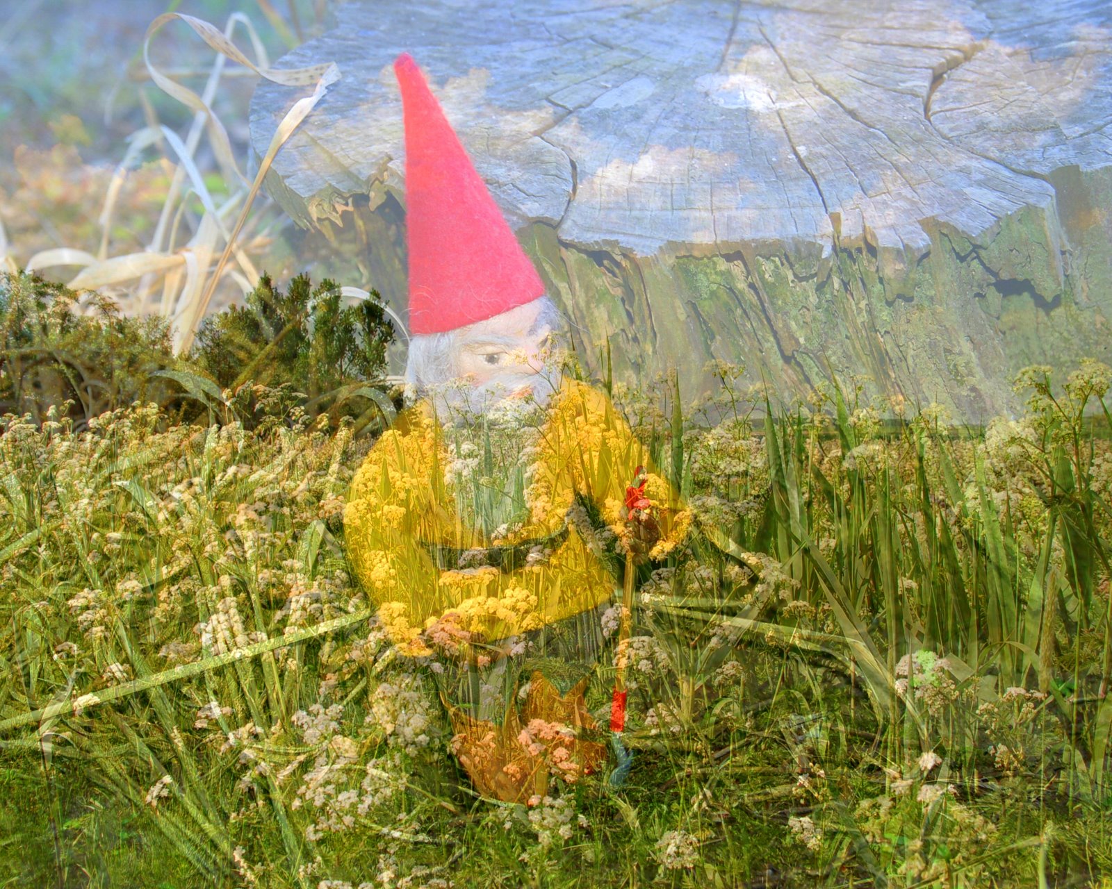 Kabouterblog: Een plek voor je kabouter