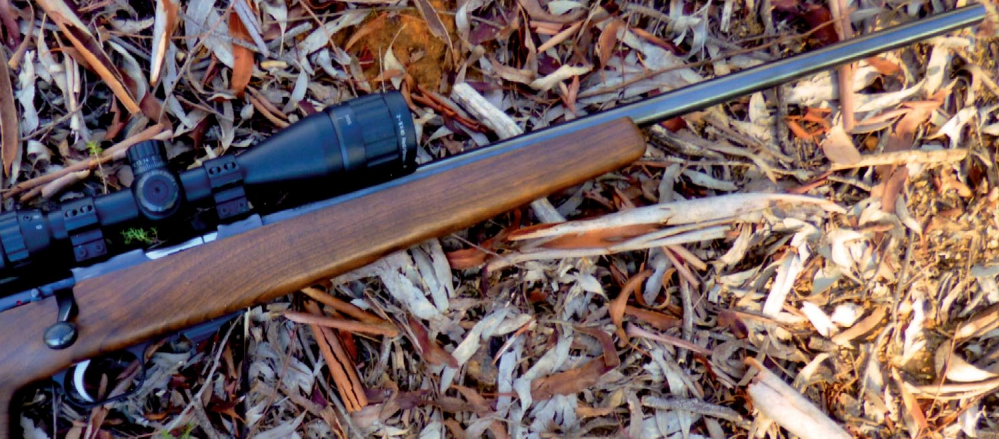 Weihrauch HW 60 J Thumbhole Review and Tests