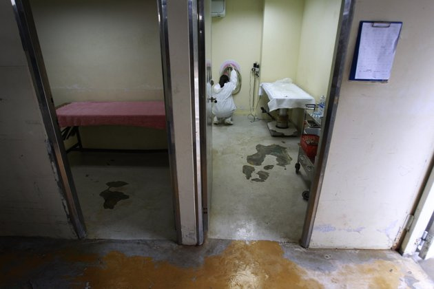 ΜΗΝ ΓΥΡΝΑΣ ΤΟ ΒΛΕΜΜΑ: ΕΥΘΑΝΑΣΙΑ ΖΩΩΝ ΣΥΓΚΙΝΗΤΙΚΕΣ ΕΙΚΟΝΕΣ ΛΙΓΟ ΠΡΙΝ ΤΟ ...