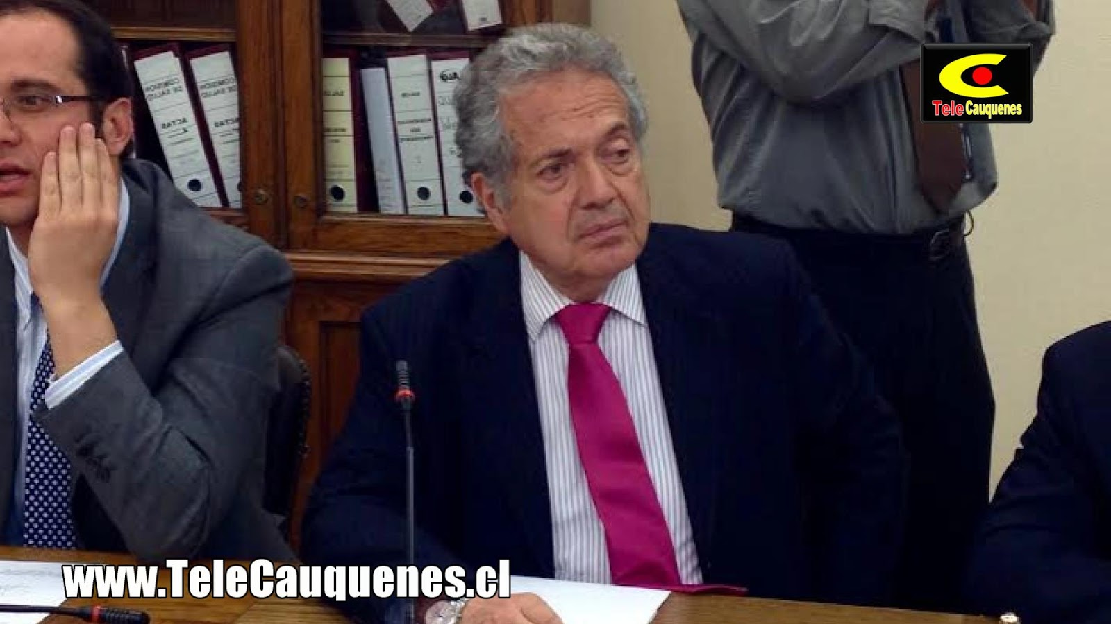 Diputado Ceroni: “El nombramiento del Consejo de Observadores para el ...