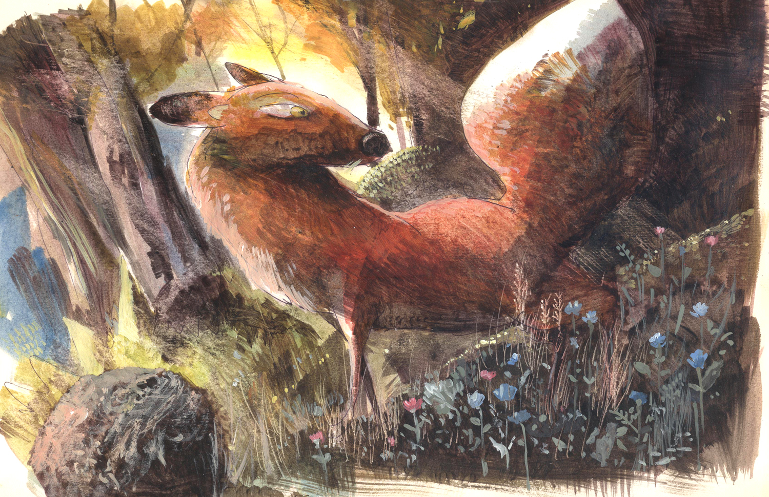 wesley rodrigues: raposa ressabiada