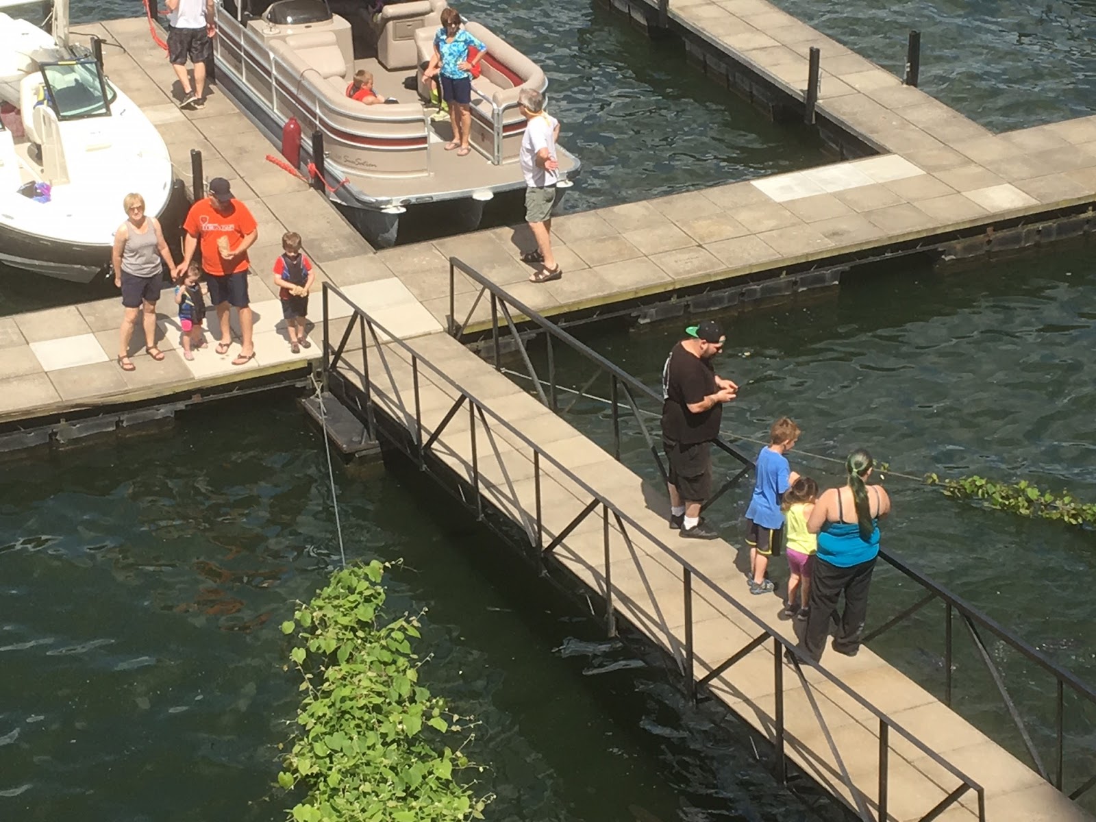 Spend Your Spring Break at the Lake of the Ozarks