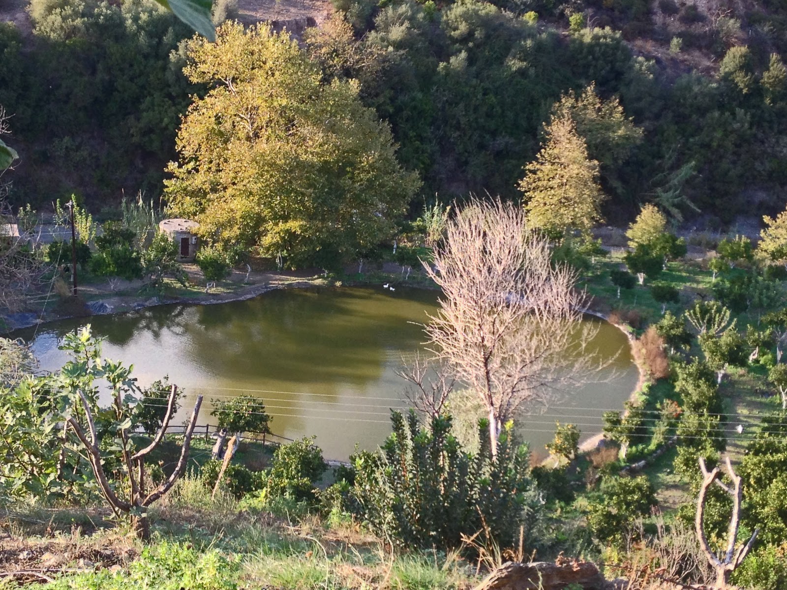 Have a great holiday in South-West Crete - Paleochora - Anidri: A day ...