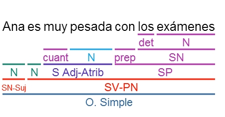 Videoblog Sintaxis Fácil: EJERCICIOS RESUELTOS DE ATRIBUTO