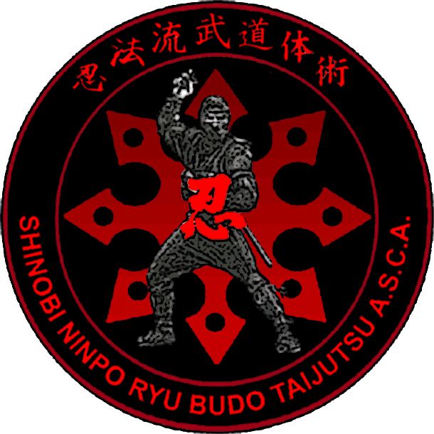 Shinobi Ninpo Ryu Budo Taijutsu (PAGINA OFICIAL) しのびにんぽりゅぶどたいじゅつ