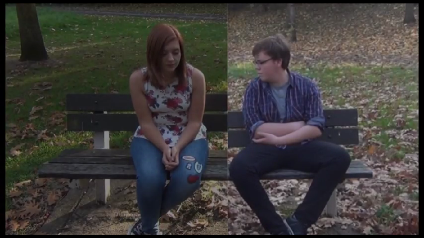 Advanced Portfolio by Victoria Elson (4080)