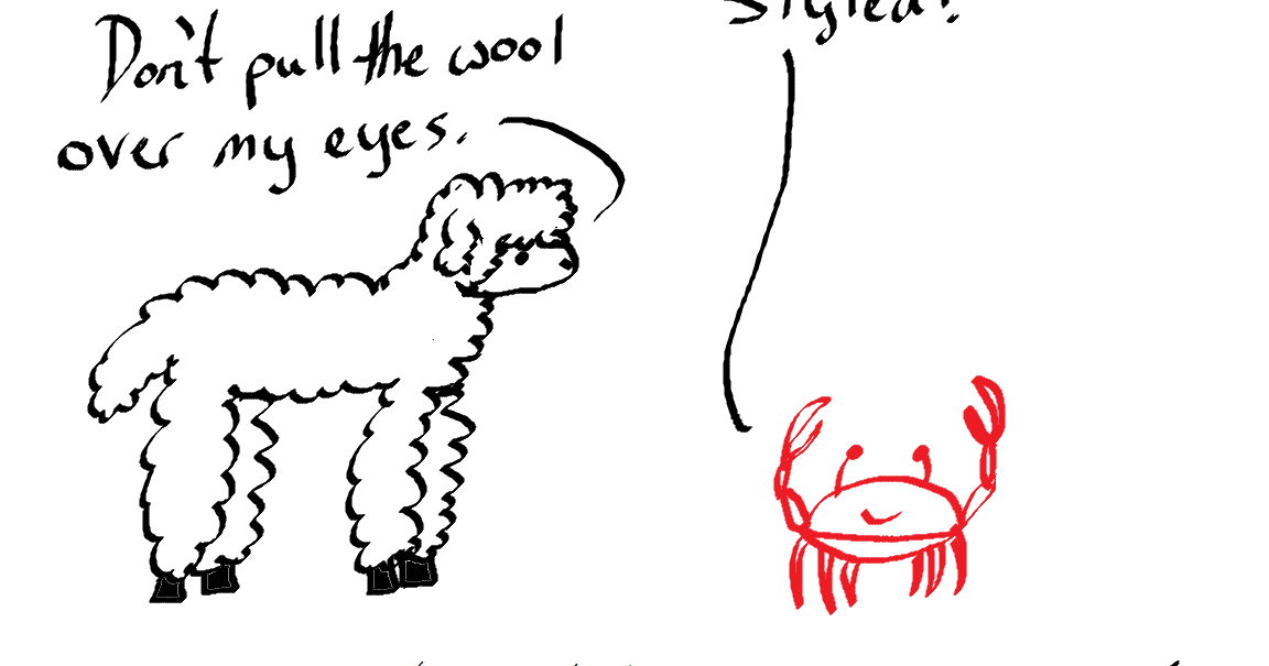 True Story: Wool Over Eyes