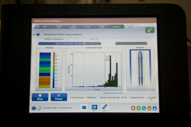 CoreGenomics: MiSeq: possible growth potential part 2
