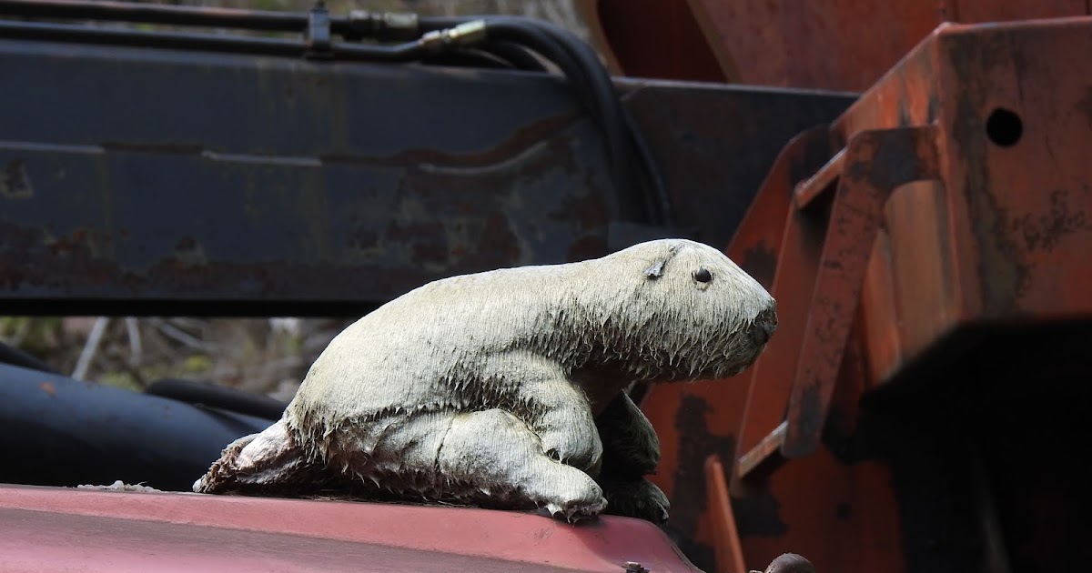 Merry@Syracuse: Big Moose: Logging Truck Hood Ornament