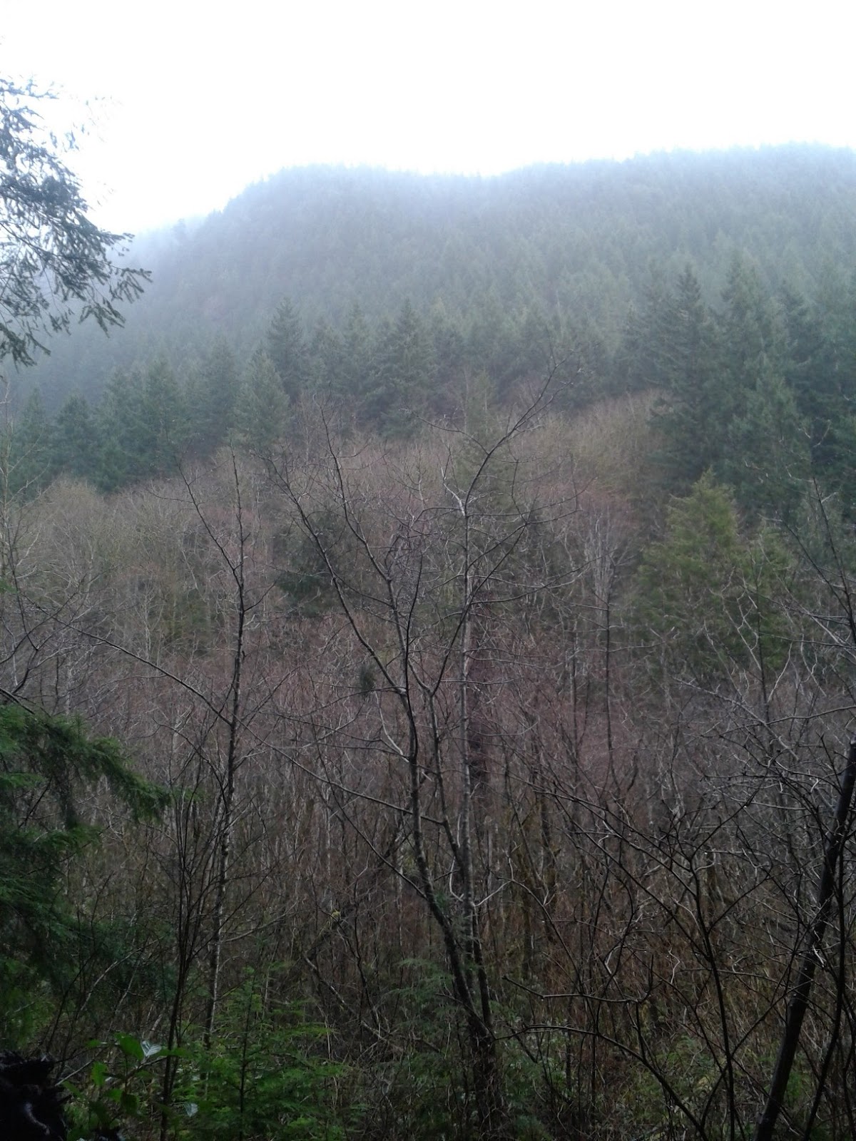Urban Trailseeker: Hiking Trip Report: Little Si, Boulder Garden Loop