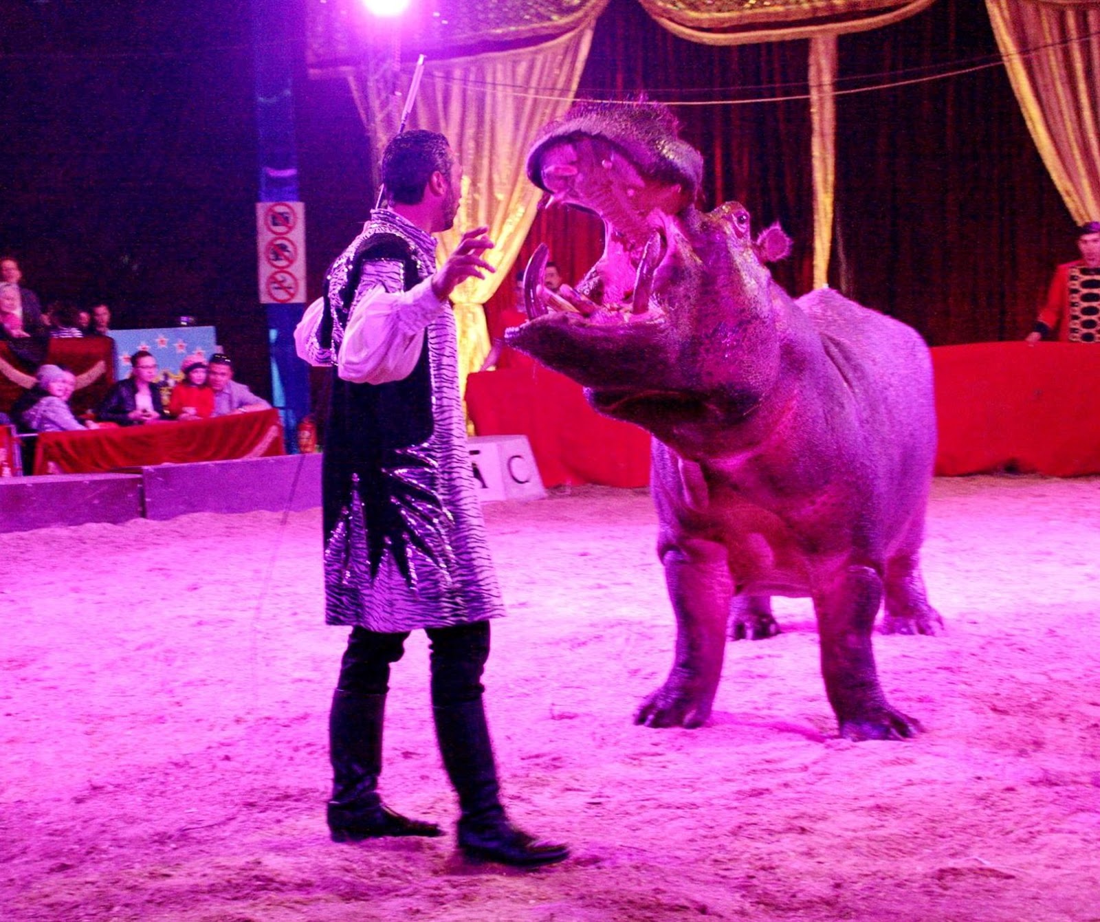 Circus News: CIRCUL AMERICANO / VARGAS - 2016