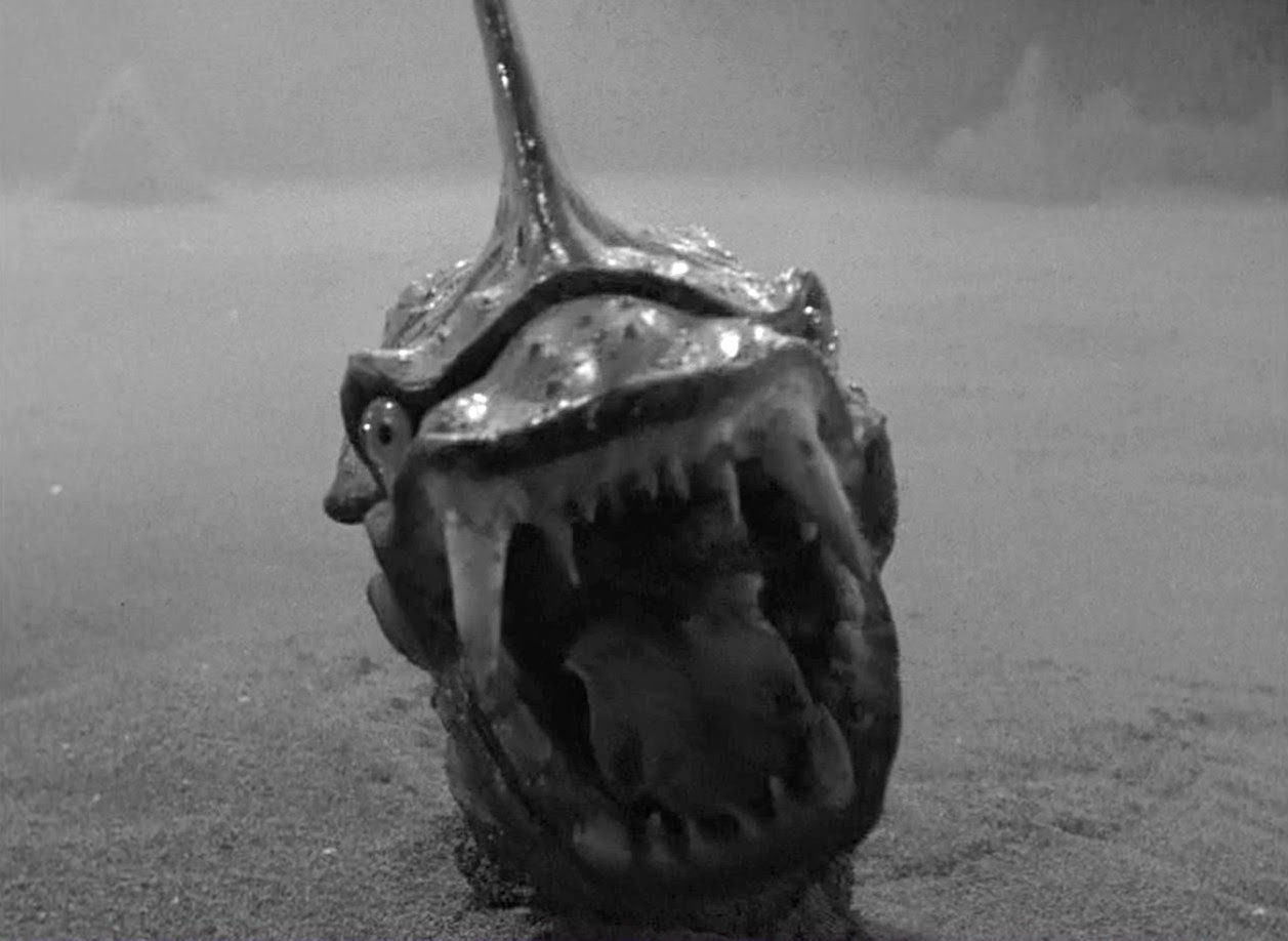 John Kenneth Muir's Reflections on Cult Movies and Classic TV: The ...