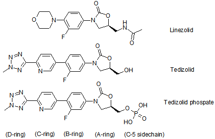 Modern Medicines: Tedizolid Phosphate | Anti-Bacterial | Ribosomal ...