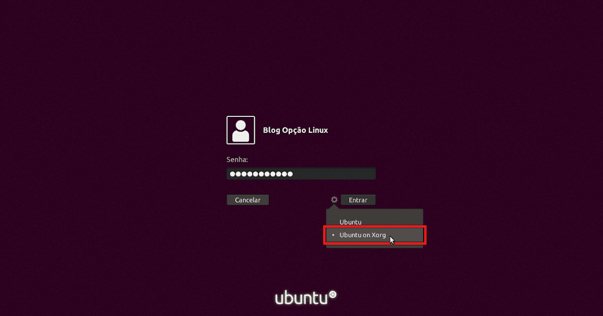 Erro Gtk Warning Cannot Open Display 0