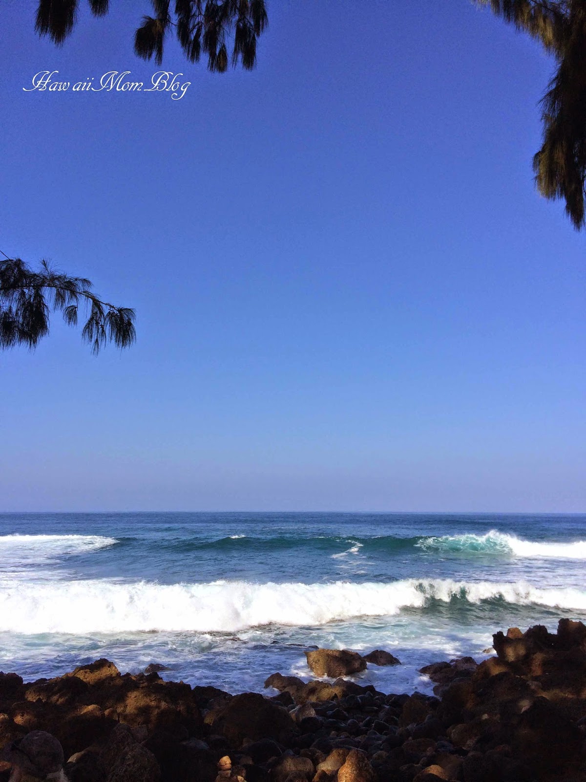 Hawaii Mom Blog: WW: Pupukea Beach Park