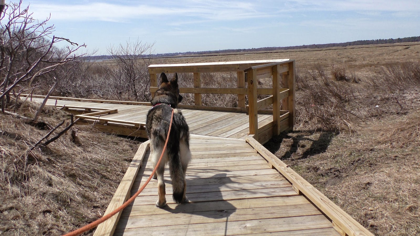 The Journey and Adventures of Nancy Moreau