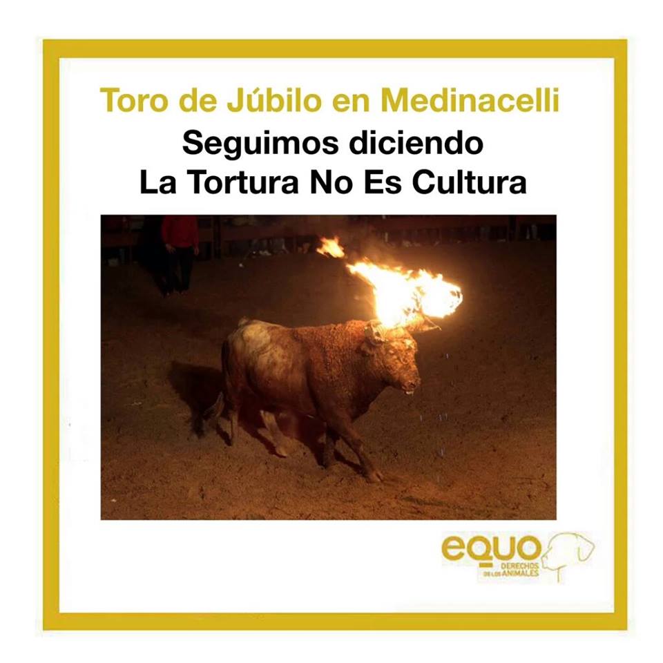 EL MUNDO MEJOR DE MABEL: "TORO DE JUBILO" OTRA FORMA DE TORTURA ANIMAL ...