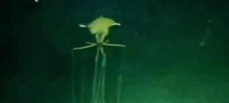 Ciencia en Canoa, by Vanessa Restrepo Schild. : noviembre 2013