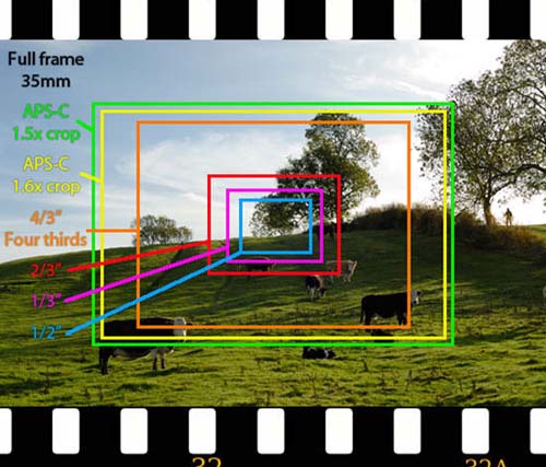 finch: Desember 2012
