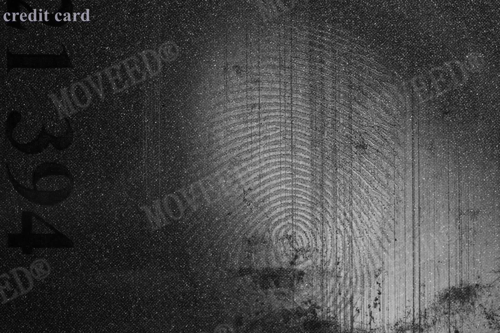 Forensic Photography System: MOVEED® Forensic IR-UV-ALS Photography ...