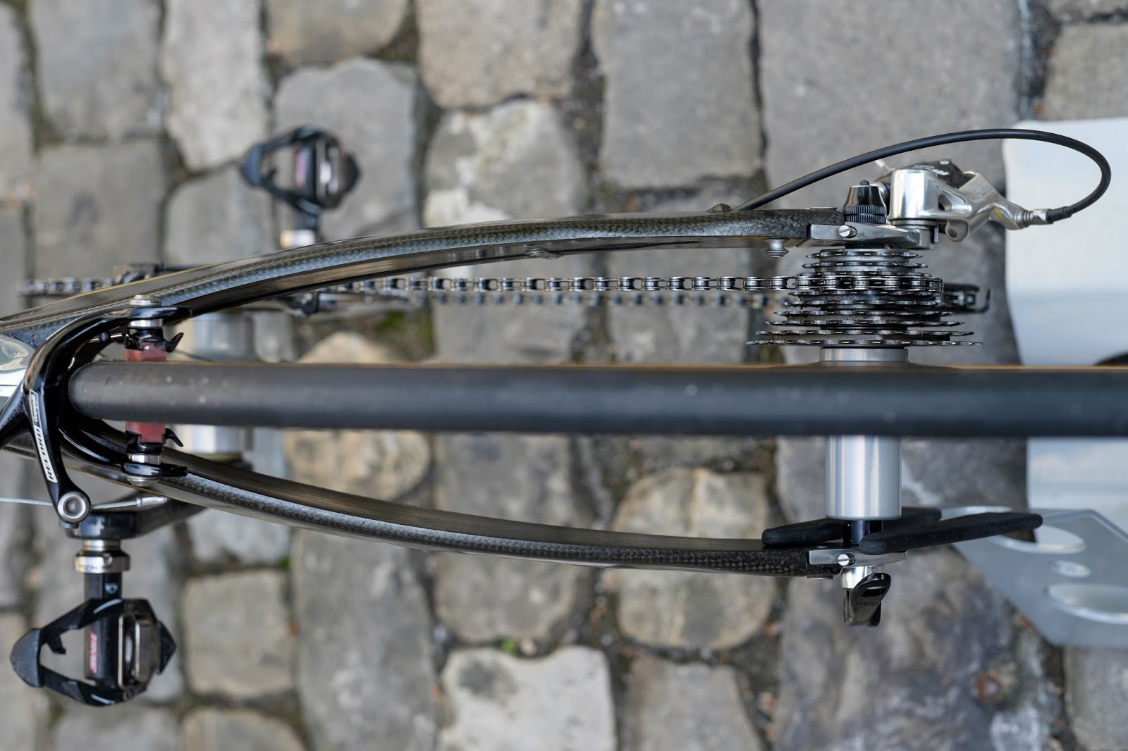 Zuwachs im Zoo: Corima Fox