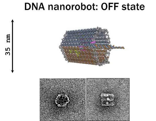 Medical nanobots approach for curing Alzheimers in a 433 page write up ...