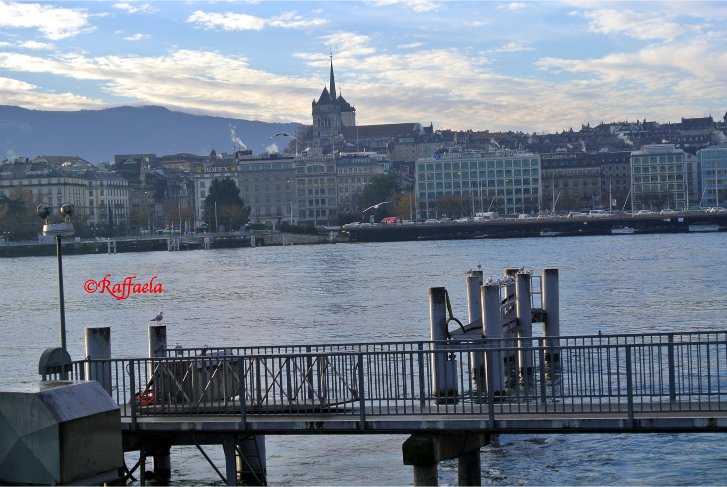 Fotografia è Vita: 2015