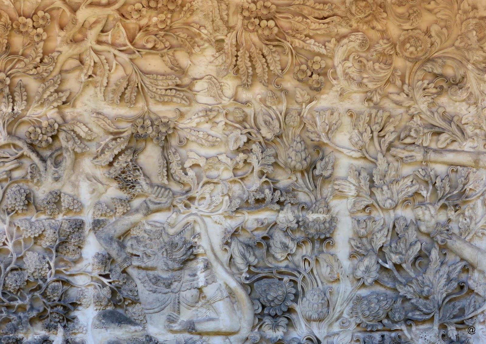 Rijst Reizen: Adrien Mayeur en Ni Pollok