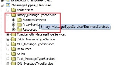 OSB-12c : Binary Message Type