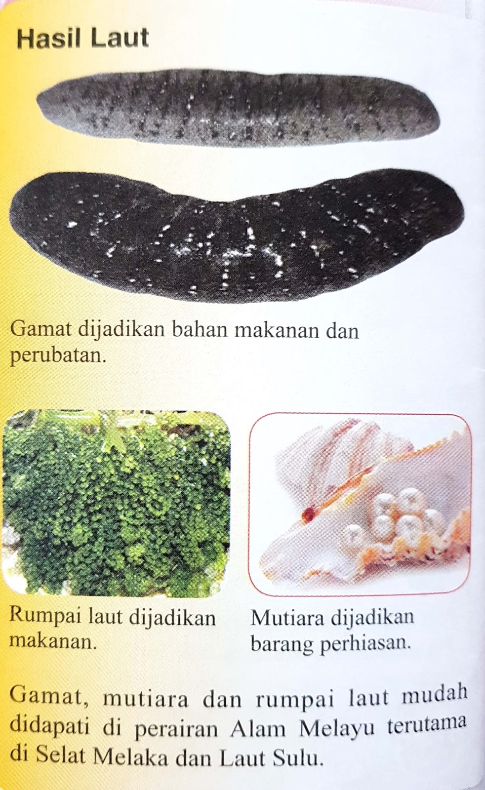 SEJARAH NEGARA KITA: February 2018