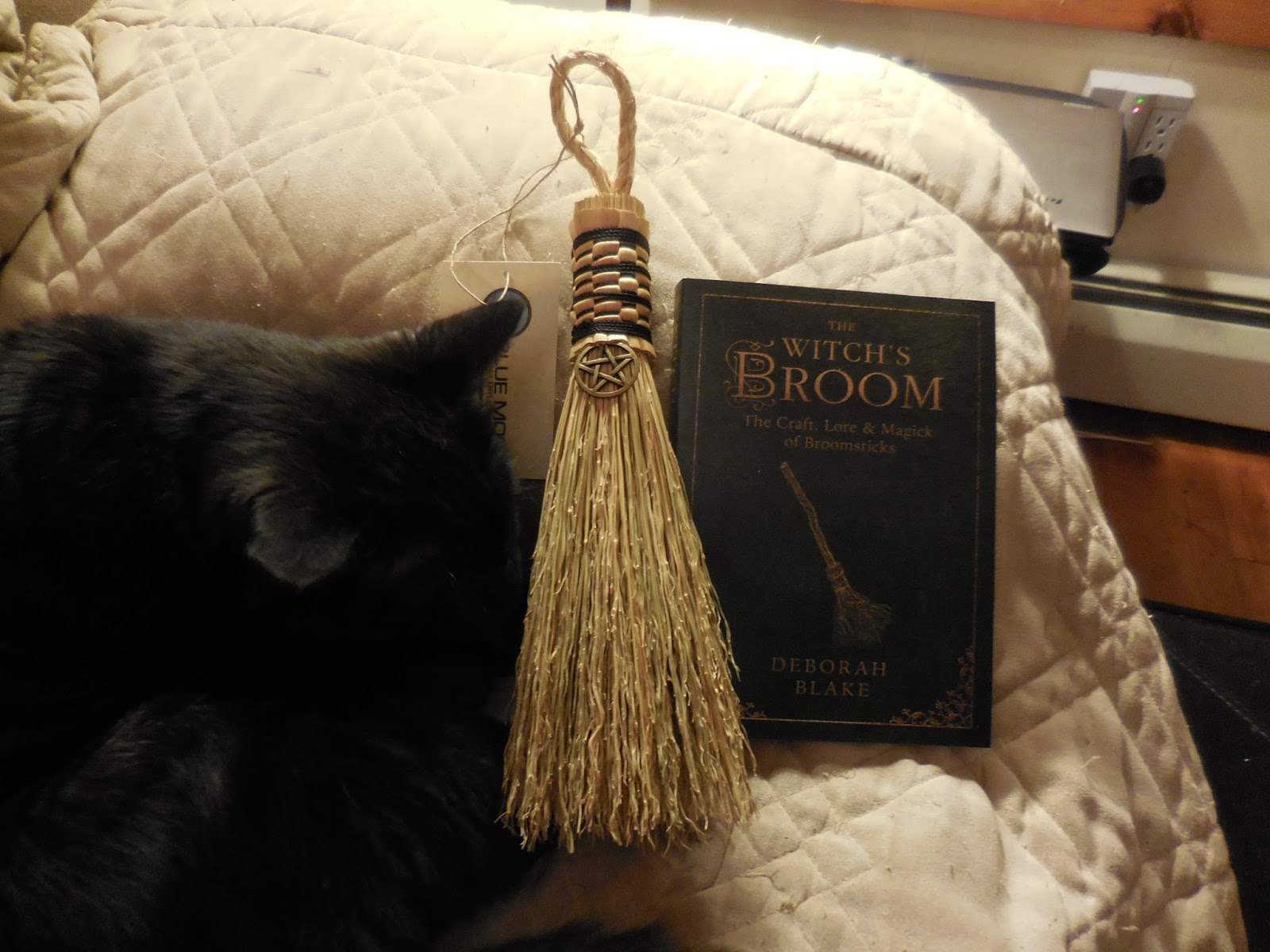 Writing the Witchy Way: The Witch's Broom and a Magickal Broom Giveaway