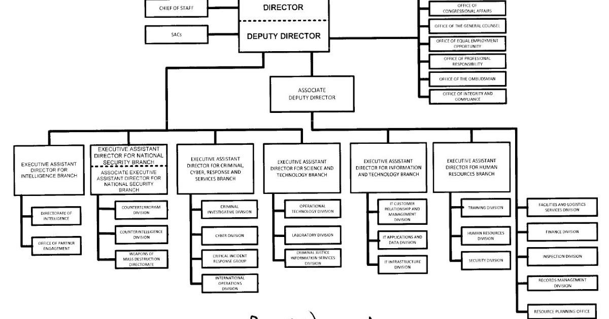 The American Cowboy Chronicles: How Can The FBI Be Trusted?