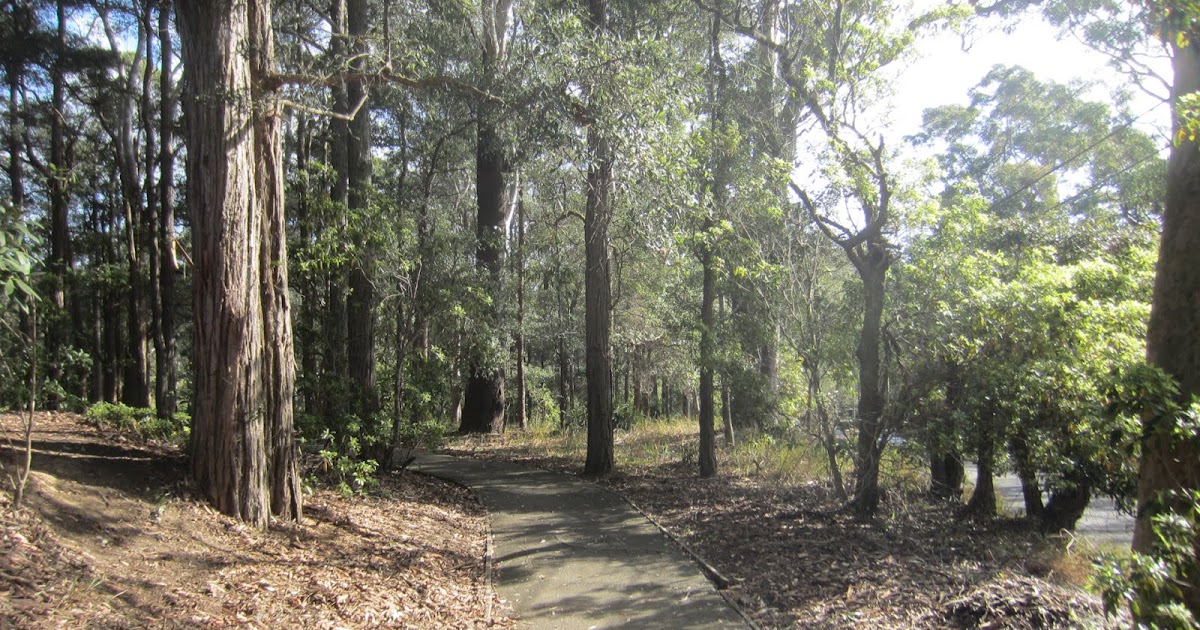 Going Bush: West Pymble - Completing Sydney
