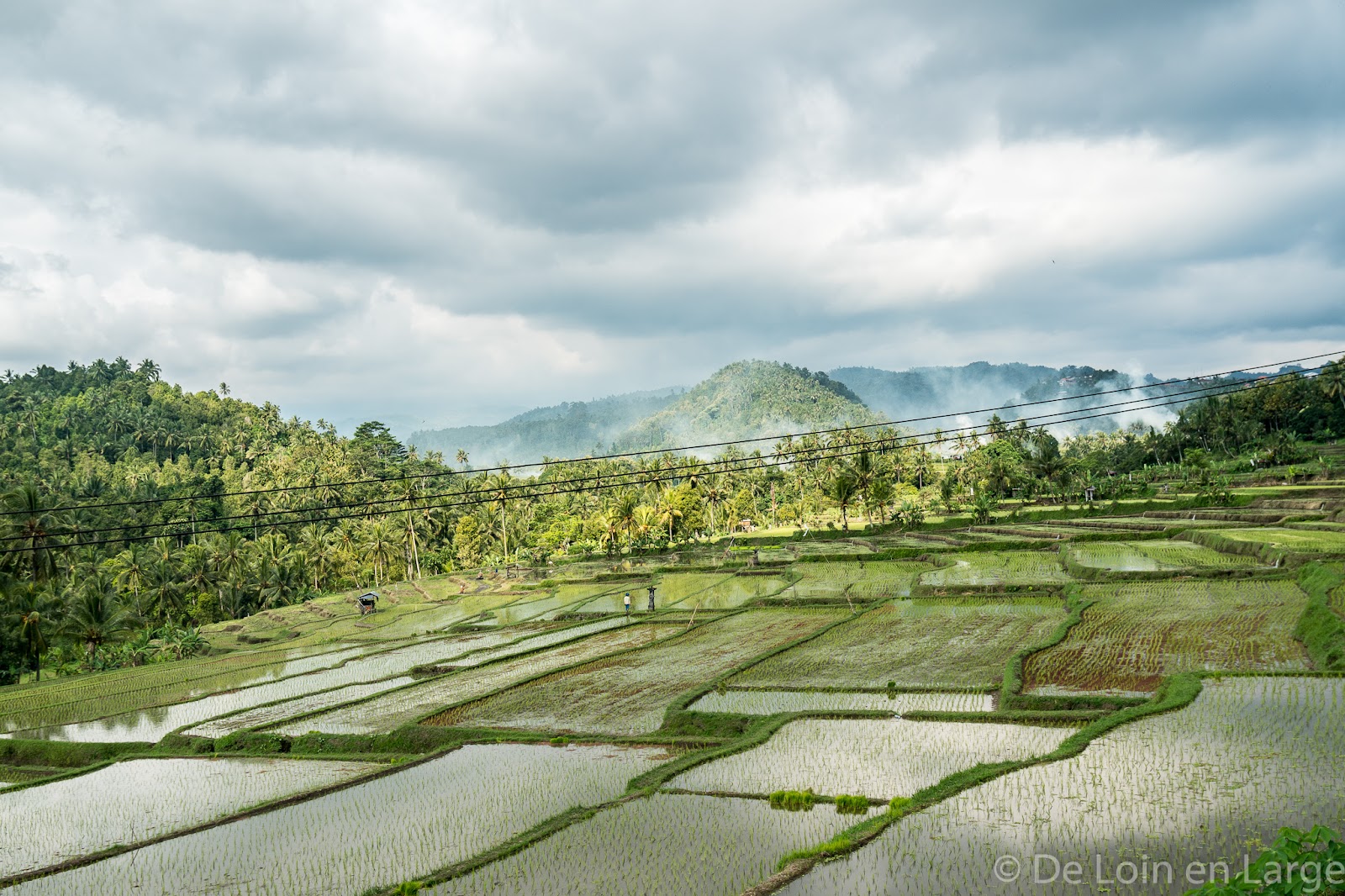 Bali - jour 7 : En route vers Pemuteran