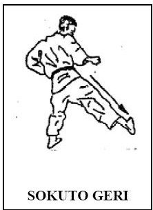 goju ryu eishinkan: GERI WASA