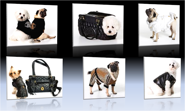 DogsMag: PERROS CHIC