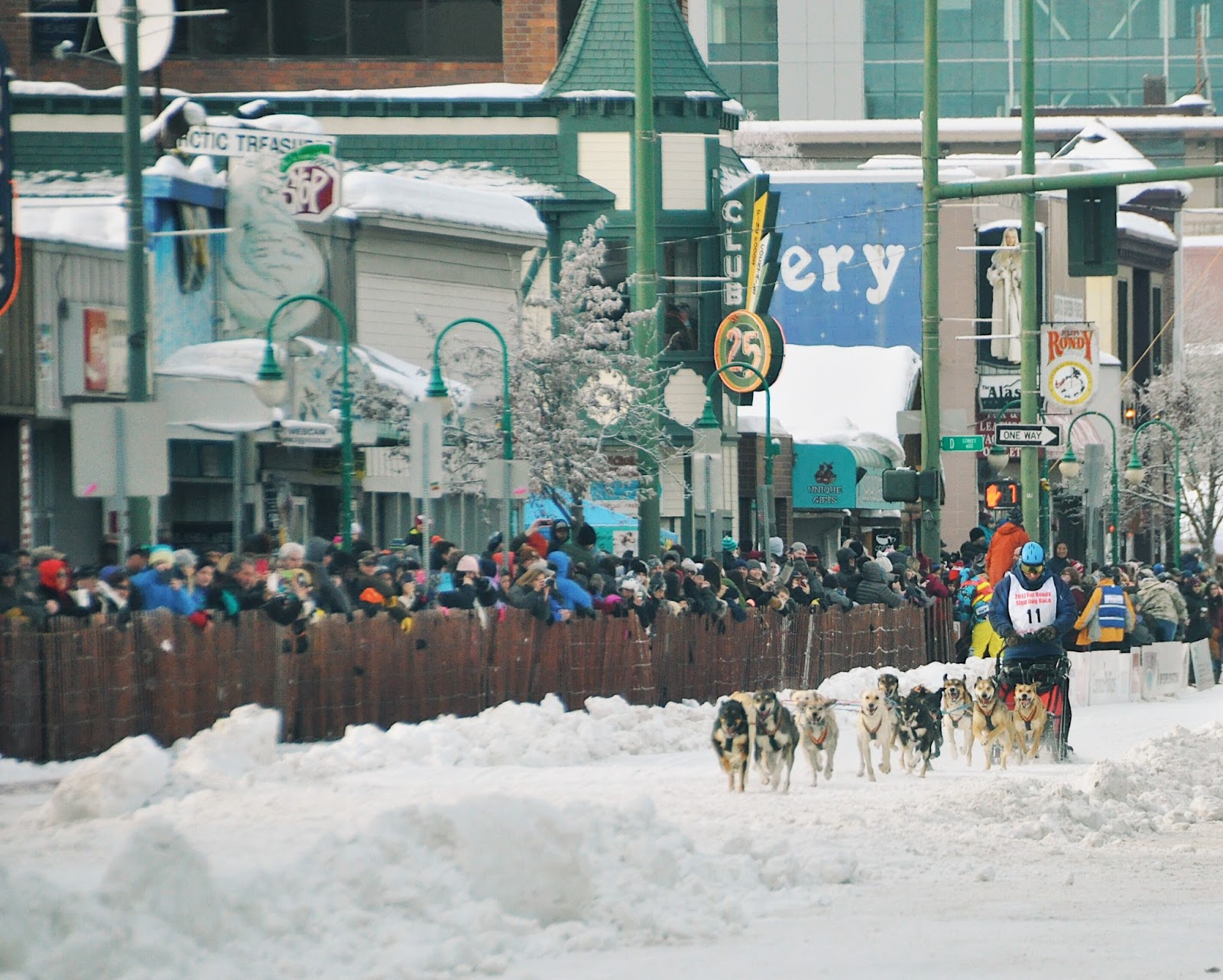 Heart Alaska: Fur Rondy Sled Dog Races