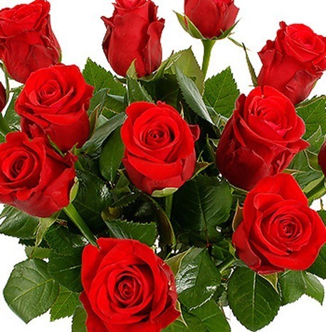 floriografía: Floriografía. El lenguaje de las flores