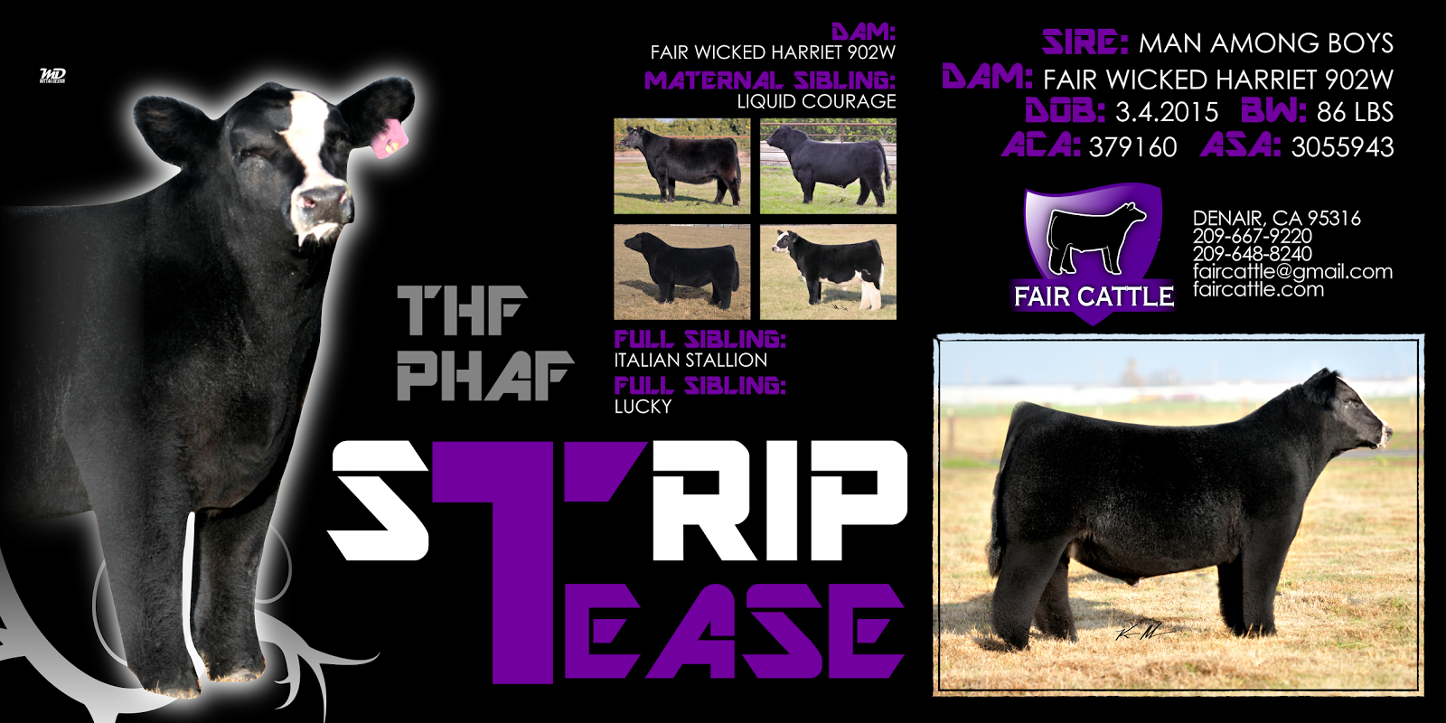 MITTAG Blog: Denver Bull Banners from Mittag Design