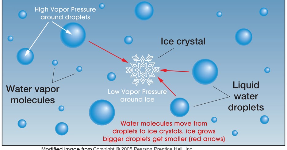 Brandi's Buzzar Blog: The Bergeron Process